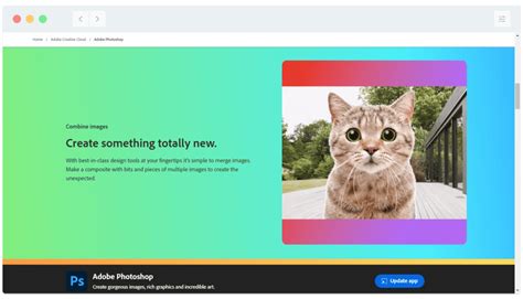 Image Editing Photoshop Explainer 3 Of 5 Ol