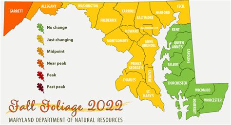 Fall Foliage Report October 6