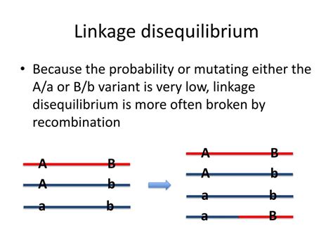 Ppt Linkage Disequilibrium Powerpoint Presentation Free Download
