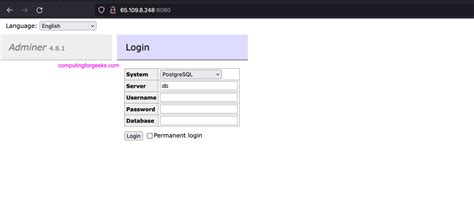 How To Run Postgresql Server In Docker Container Computingforgeeks