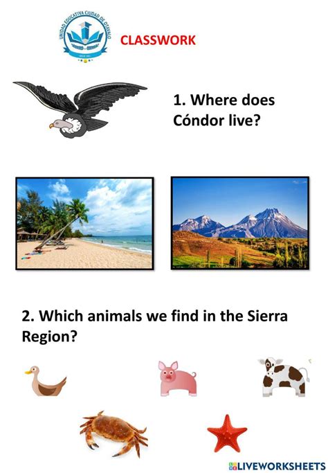 Classwork Exercise For First Live Worksheets