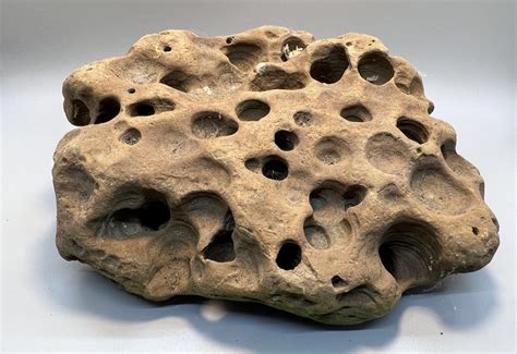 Unique Rock With Holes