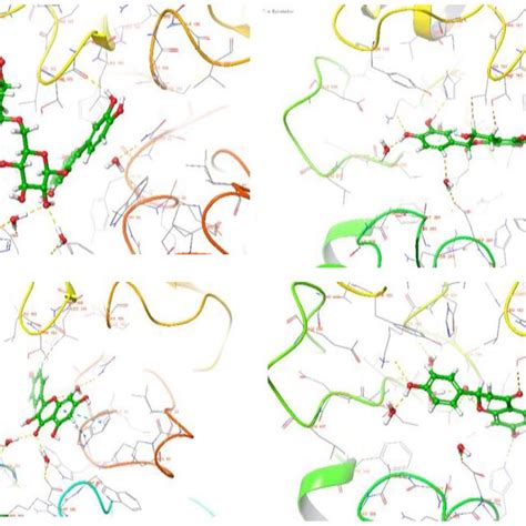 2d Representation Of Molecular Docking Poses Of Selected Hit Compounds