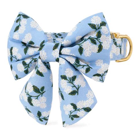 Lady Bow Hydrangea Shop Solis