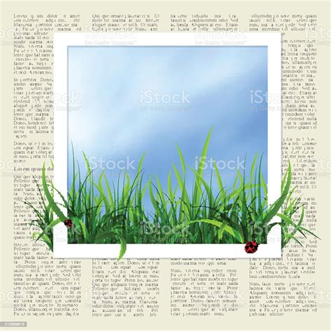 Newspaper With Grass Stock Illustration Download Image Now Agricultural Field Backgrounds