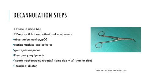 Ppt Tracheostomy Decannulation Powerpoint Presentation Free Download Id 13508203