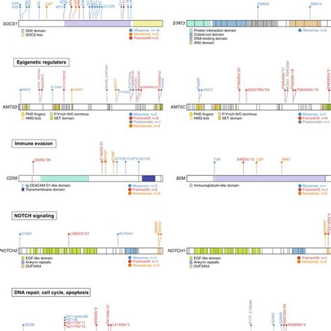 Recurrent Mutations On Protein Level Needle Plots Illustrating The