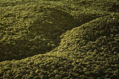 Yin Yang Photograph By Andrei Kisliak Pixels