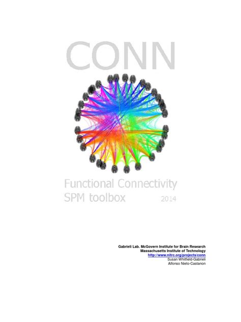 Conn Fmri Functional Connectivity Toolbox Manual V14 Pdf Dependent