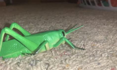 Grasshopper Adventures Of A Grasshopper Vs Surprise Attack The Unknown Superheroes R