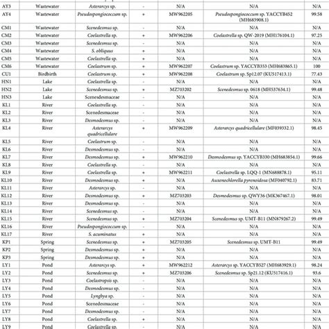 Characterization And Identification Of The Microalgae Strains Along Download Scientific