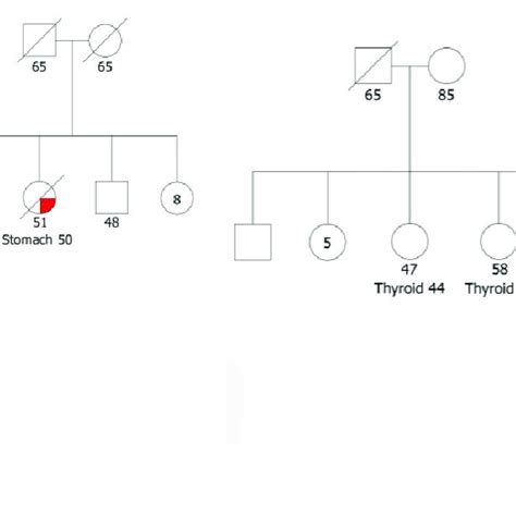 Flow Chart Representing Patient Inclusion And Subsequent Germline Download Scientific Diagram
