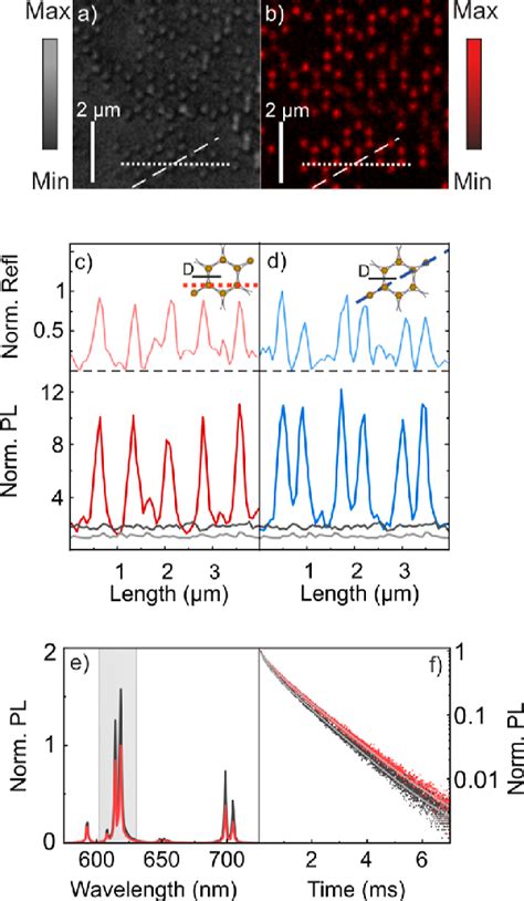 A Confocal Scanning Microscopy Image Of The Reflection And B Pl Of Download Scientific