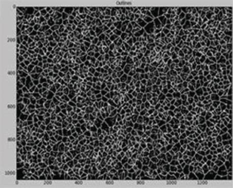 Identification Of The Objects The Pipeline Of Cellprofiler A