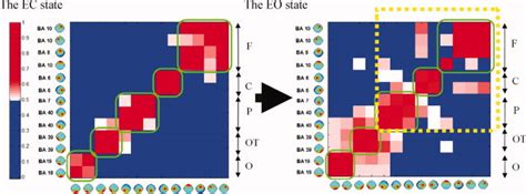 Illustrative Functional Connectivity Correlation Matrices From The Ec Download Scientific
