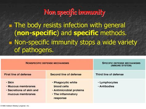 Defence Against Infectious Disease Antibodies And Vaccination Ppt