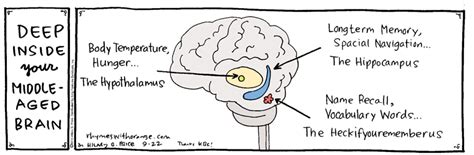Cognitive Science Neuroscience