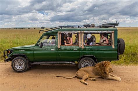 Masai Mara Kenya February 19 2020 Lion Resting In A Shade Of Safari Vehicle In Masai Mara