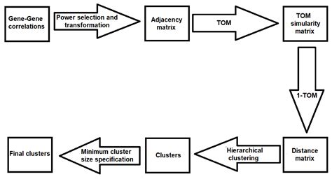 Bioengineering Free Full Text Meta Analytic Gene Clustering