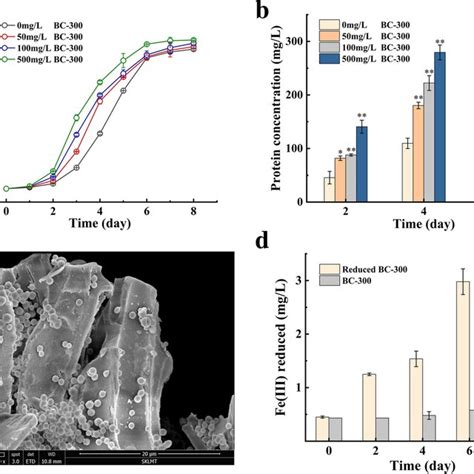 Unveiling The Biochar Respiratory Growth Of Methanosarcina Acetivorans Involving Extracellular