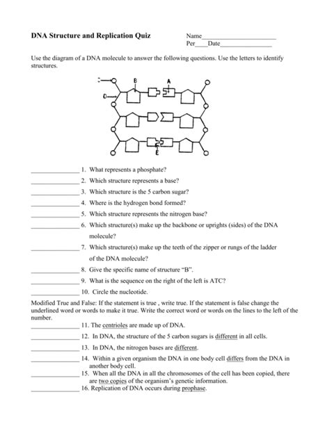 Dna Structure And Replication Quiz — Db