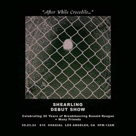 Shearling Albums Songs Discography Biography And Listening Guide