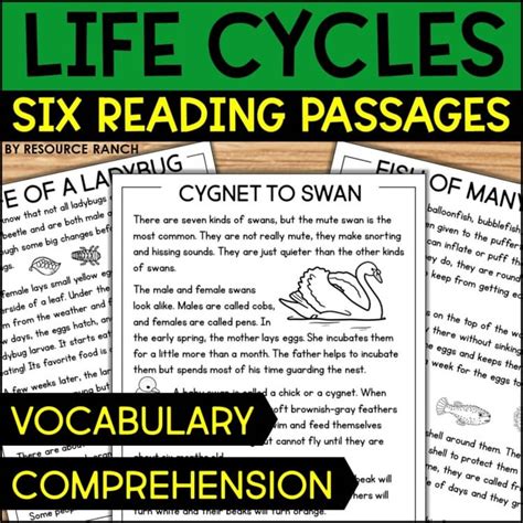 Life Cycle Reading Comprehension Passages By Resource Ranch Tpt