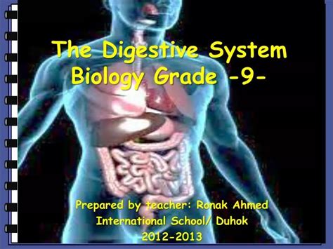 Ppt The Digestive System Biology Grade 9 Powerpoint Presentation Free Download Id 4922307
