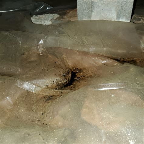 Black Puddle Sludge Mystery Internachi®️ Forum