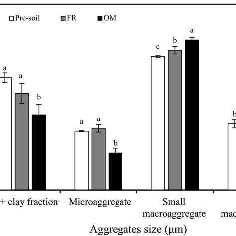 Schematic Overview Of Soil Aggregation Process And Organic C