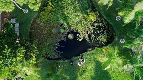 Vídeo Assista à íntegra Do Eptv 2 Desta Quarta Feira 4 De Maio Vídeos Jornal Da Eptv 2ª