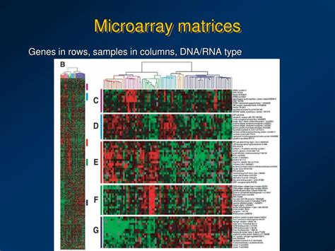 Ppt A Kolmogorov Smirnov Correlation Based Filter For Microarray Data Powerpoint Presentation