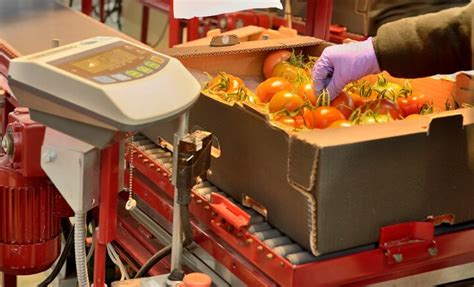 Load Cell Meter Choosing The Right Strain Meters