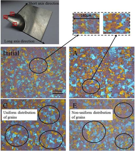 Microstructure Observation At Typical Areas Download Scientific Diagram