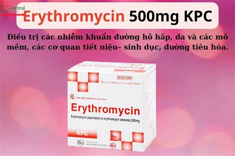 Thuốc Erythromycin 500mg Kpc Kháng Sinh điều Trị Nhiễm Khuẩn Hô Hấp