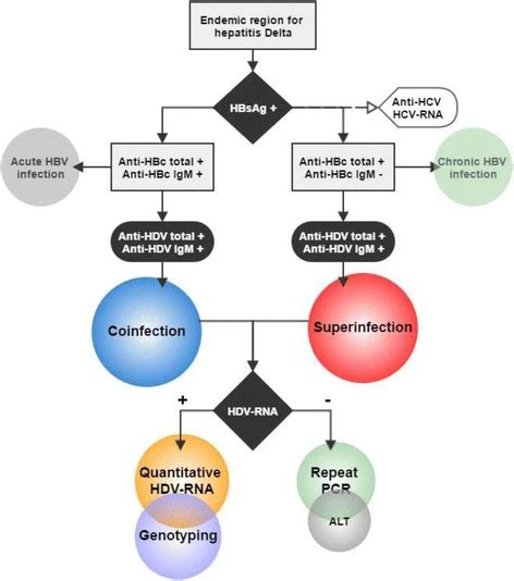 Hepatitis D Virus Structure Genome Replication Pathogenesis