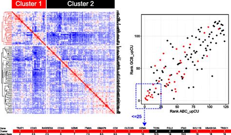 Genes Most Consistently Associated With Coo Unclassified Dlbcl Are