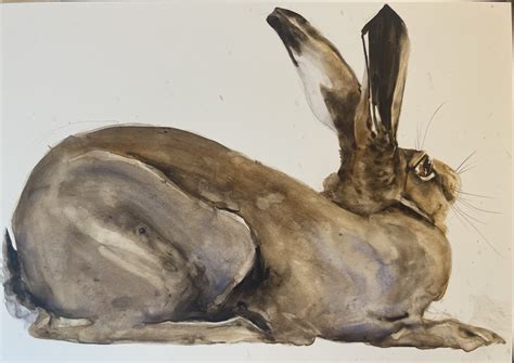 The Hare And The Hound Jackie Morris Artist