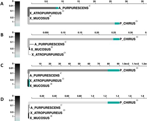 An Adaptive Branch Site Random Effects Likelihood Absrel Test For Download Scientific Diagram