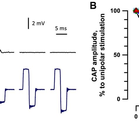 Effect Of The Trailing Anodic Pulse On The Amplitude Of Compound