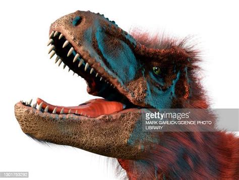 Tyrannosaurus Rex Feathers Photos Et Images De Collection Getty Images