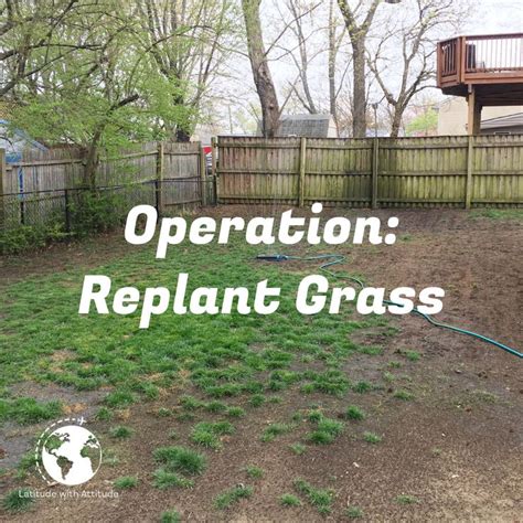 Operation Replant Grass Replant Grass Backyard Fences