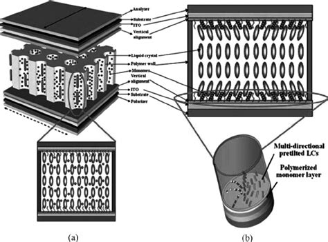 A Schematic Cell Structure Of The Lsh Cell With Reactive Mesogen