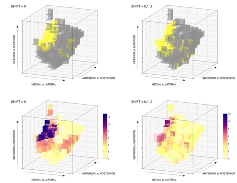 Left Hemisphere 3d Voxel Space Representation Of Entorhinal Cortex Download Scientific Diagram