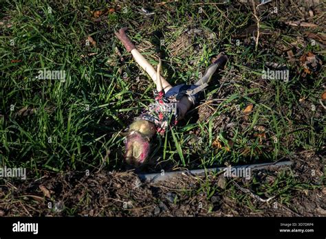 A Worn Out Doll Lies Face Down In Tall Green Grass And Dirt Evoking
