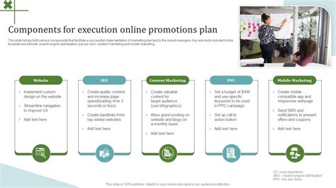 Components For Execution Online Promotions Plan Graphics Pdf