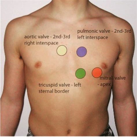 Pin By Em Sieben On Health Things Nursing School Survival Nursing