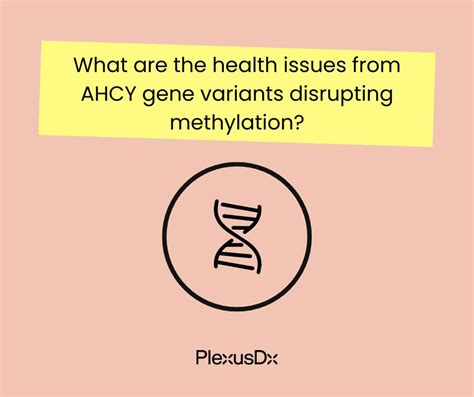 How Ahcy Gene Affects Methylation And Health Plexusdx Posted On The Topic Linkedin