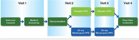 Study Design Visit 1 Medical Screening Visit 2 Randomization Visit