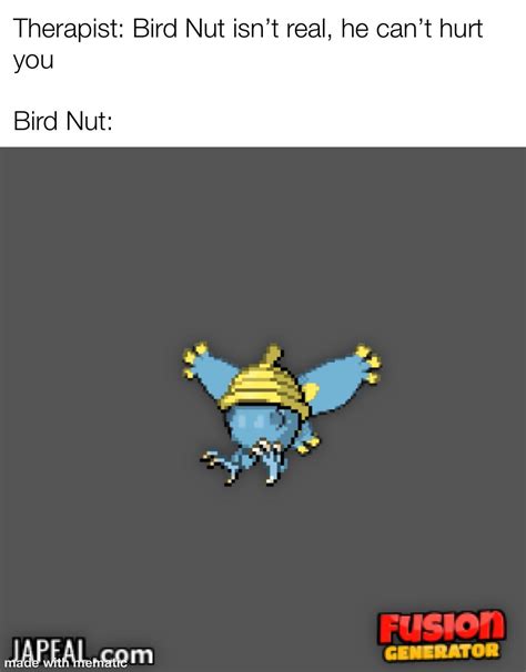 Bird Nut Rmandjtv